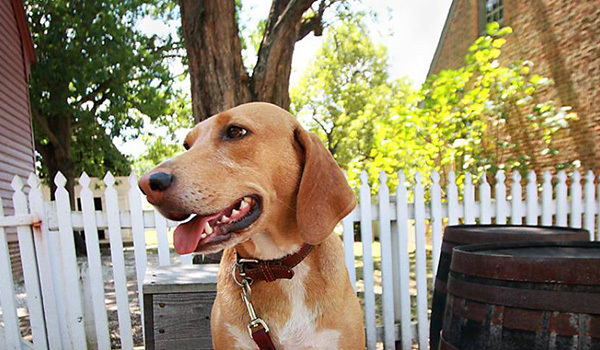 Basic handling skills test Christchurch - CBTA New Plymouth